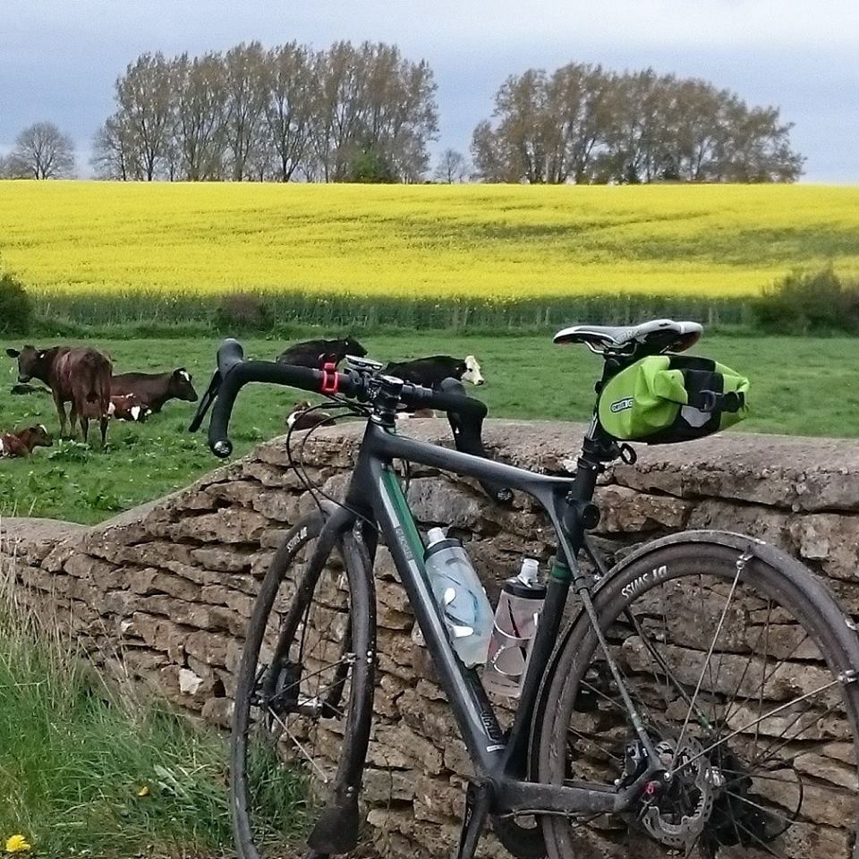 Category: Road / Gravel bikes » Green Park Bike Station